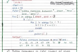 Basic Python Programs Handwritten PDF - connect4techs